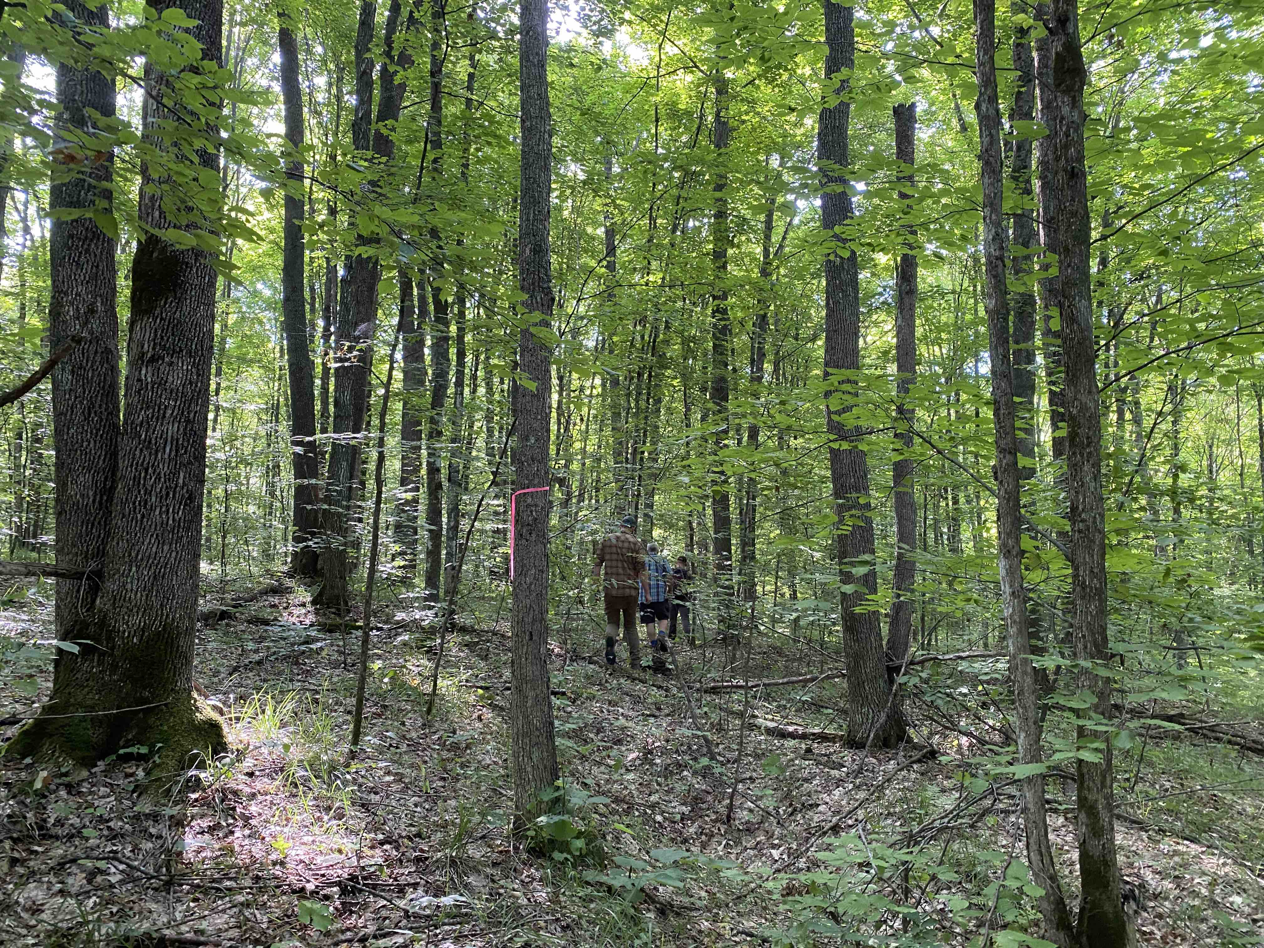 Events & Updates – Marinette Area Mountain Bike Association